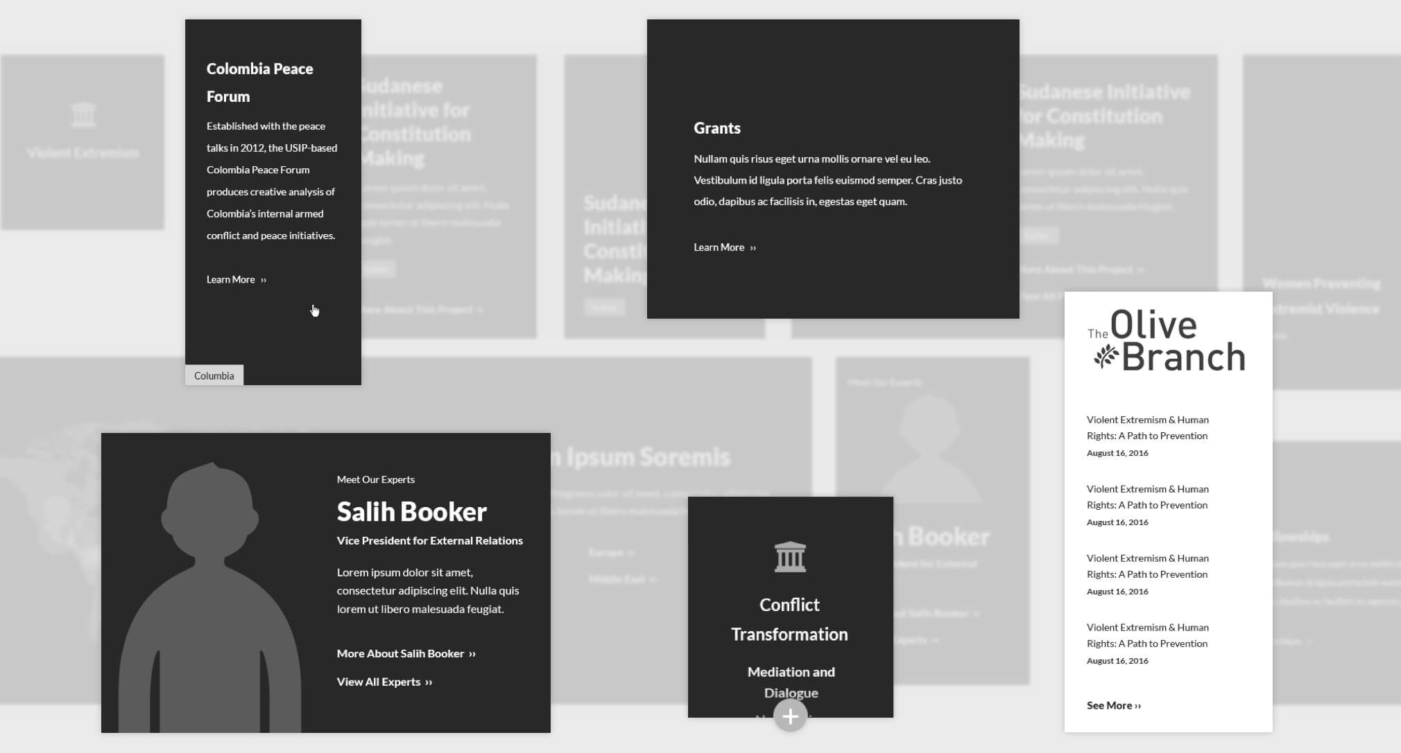 United States Institute of Peace - Drupal for Peace — WDG