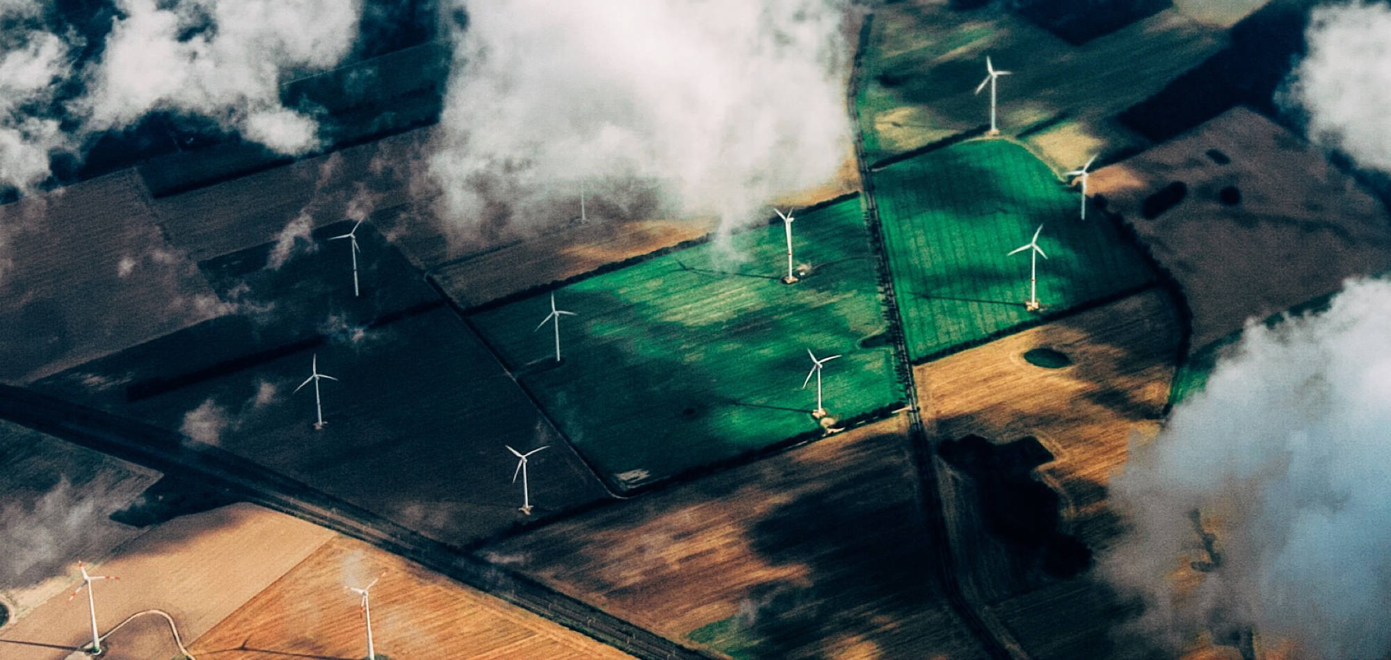 Green America - Drupal for Sustainable Growth — WDG
