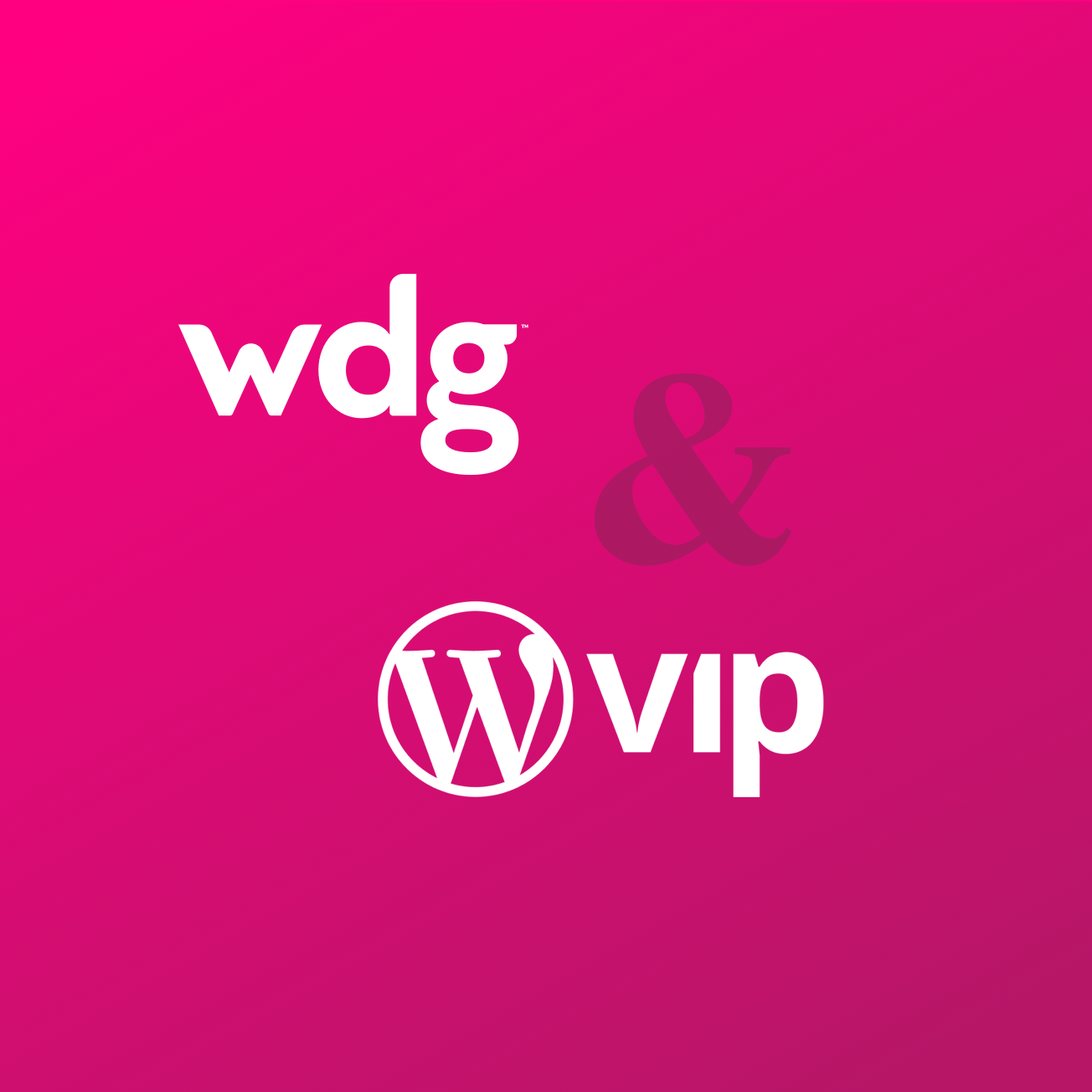A Partnership with WordPress VIP — WDG